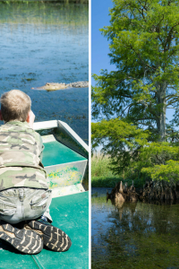 Discovering the Mobile-Tensaw River Delta: Kayaking vs Airboat Ride ...